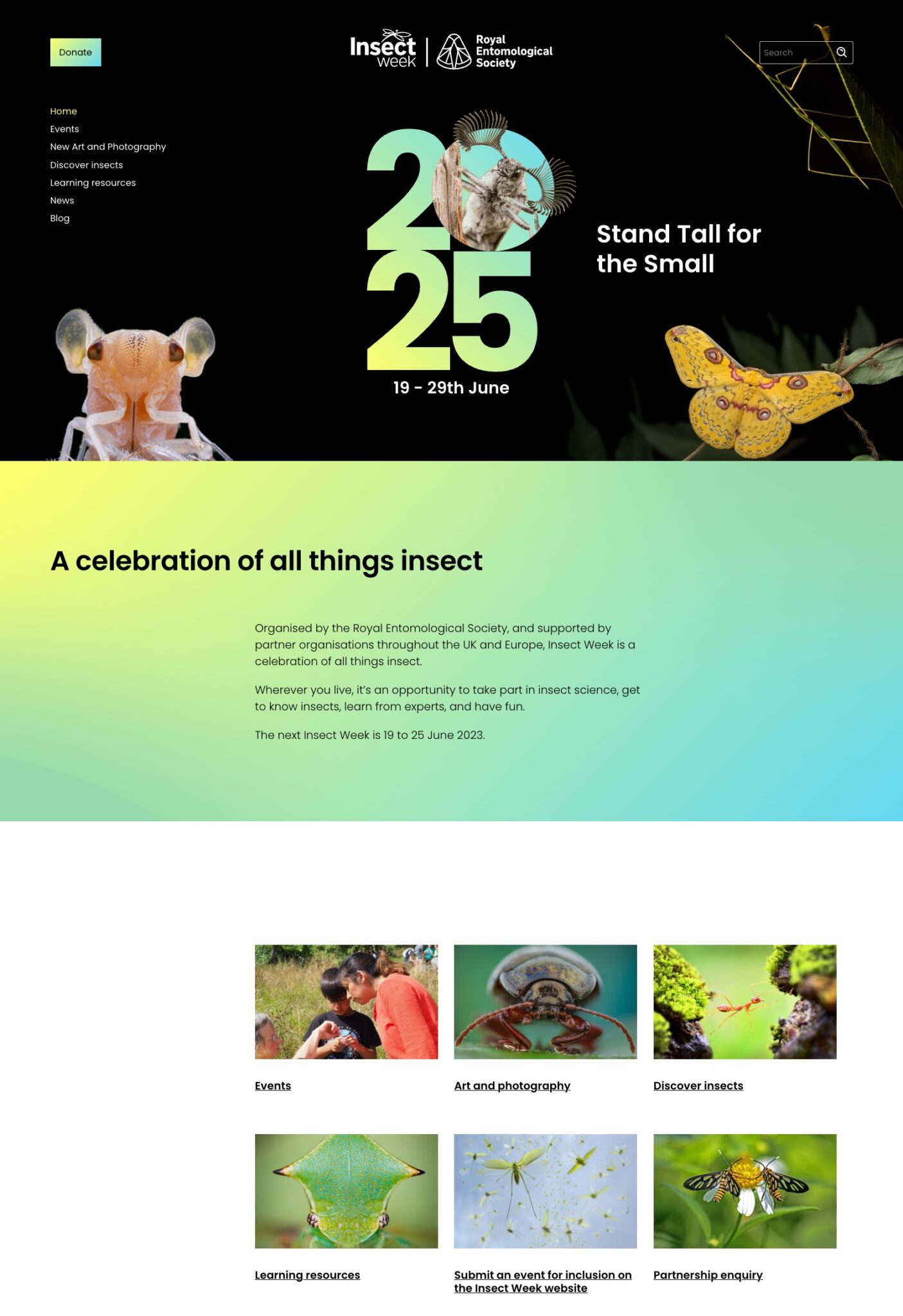 Insect Week - Headscape