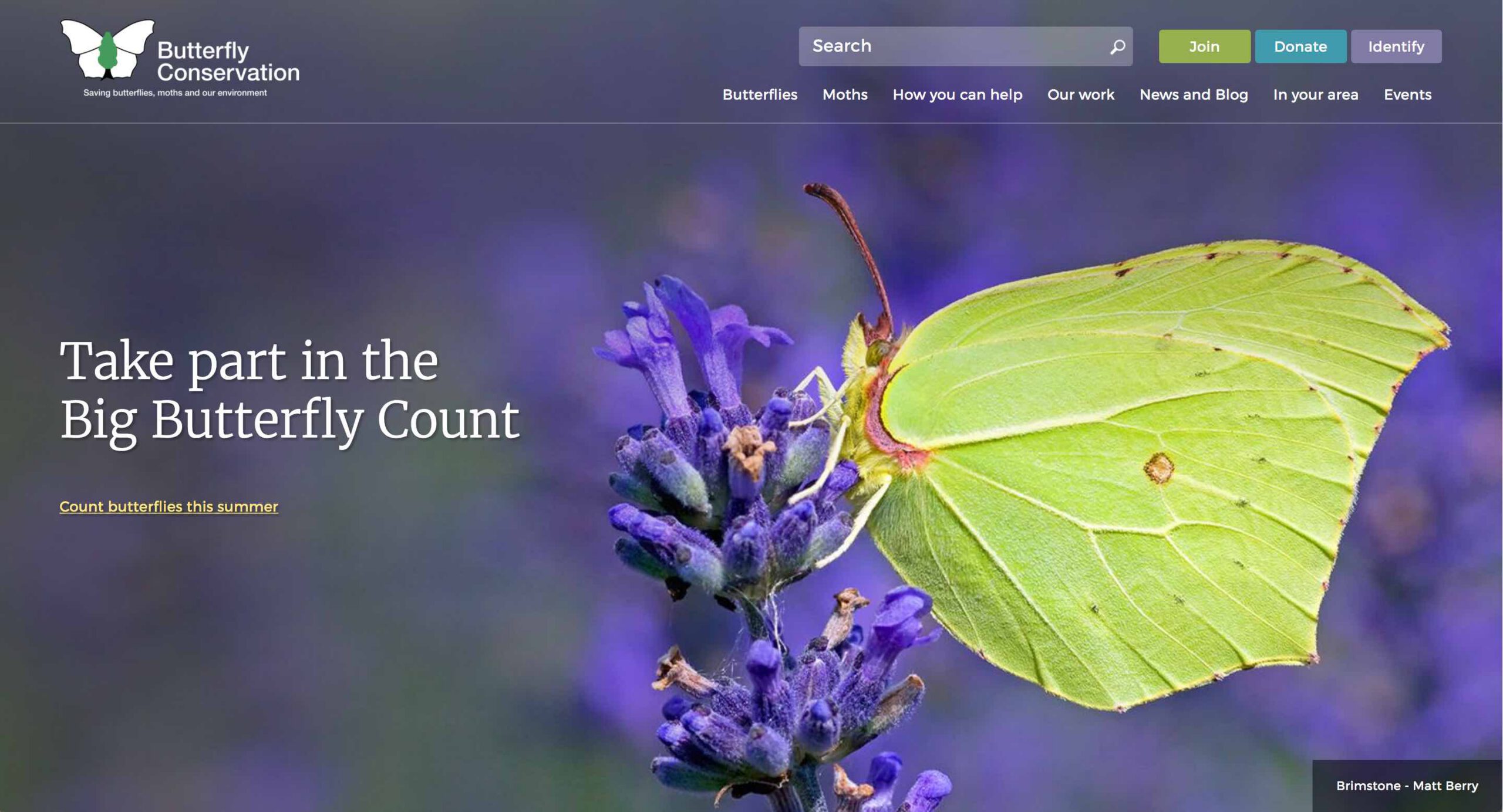 Heritage - Headscape